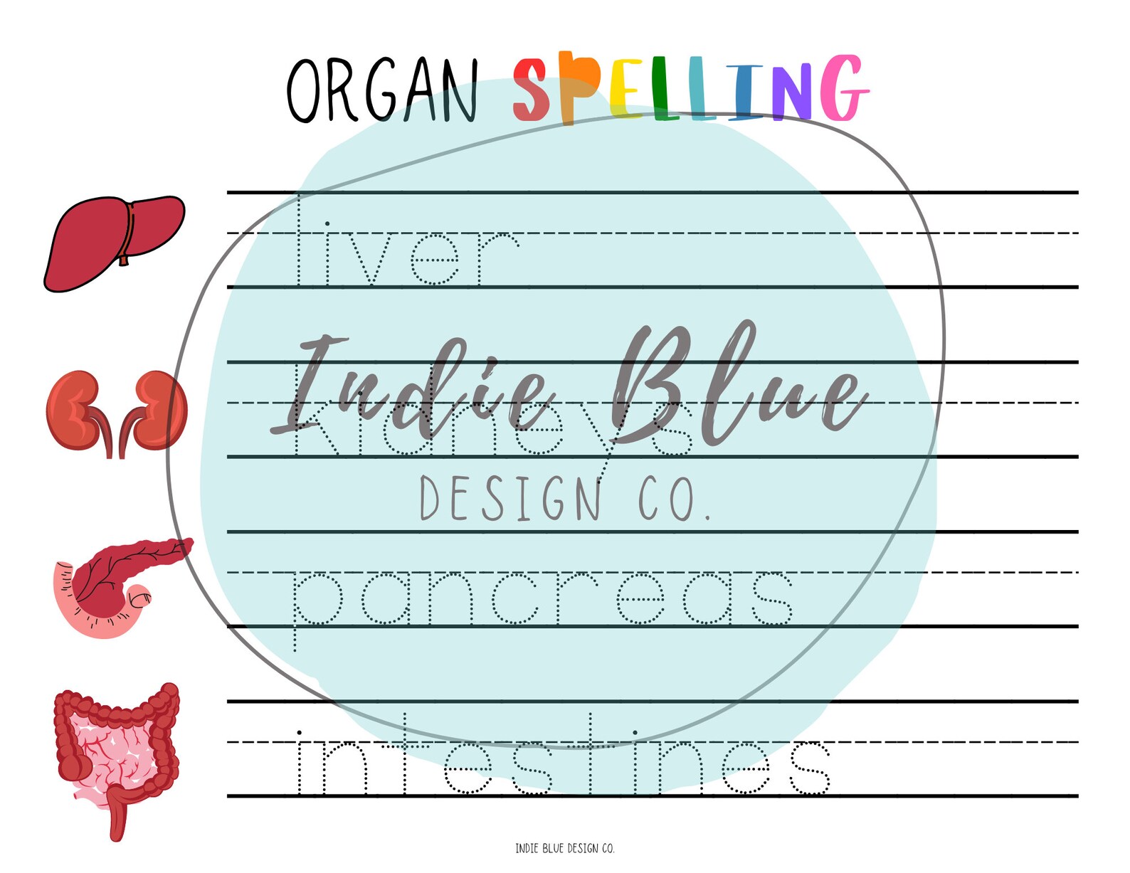 Human Body Spelling Sheets Human Body Learning Kids | Etsy