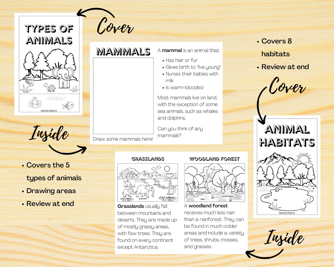 INSTANT DOWNLOAD Animal Unit Study Animal Learning - Etsy