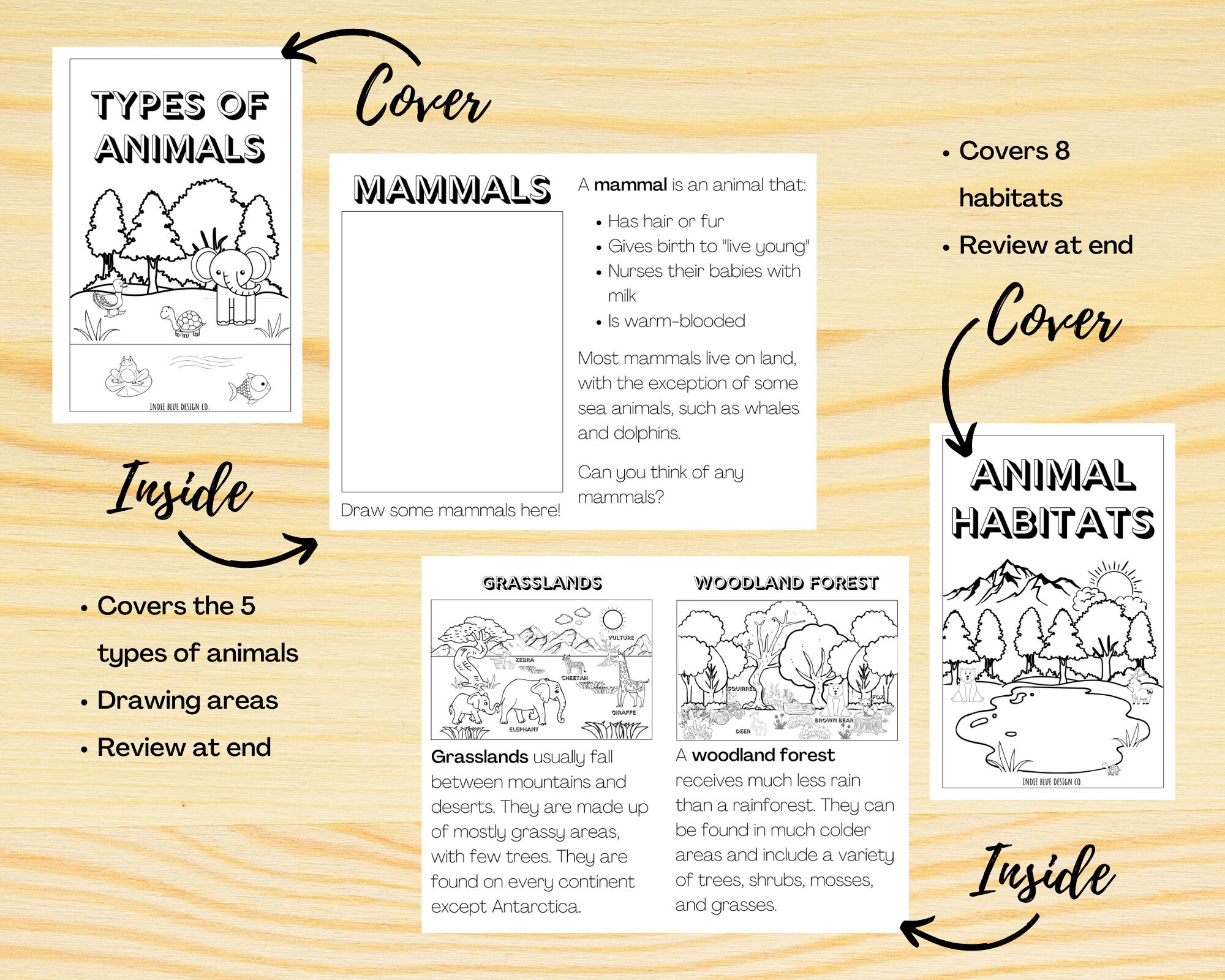 INSTANT DOWNLOAD Animal Unit Study, Animal Learning, Homeschool ...