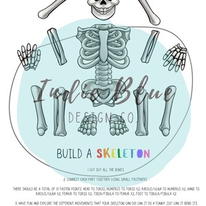 Human Body Study, Bone Matching, Human Body for Kids, Human Body ...