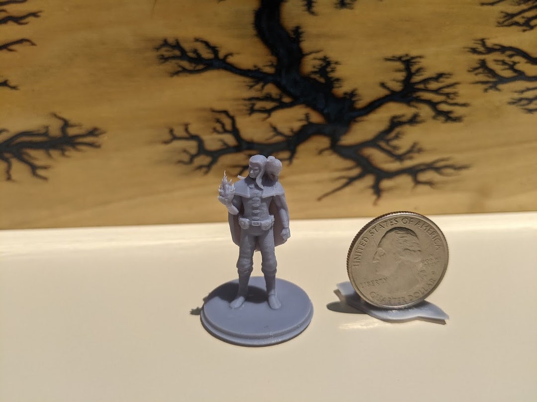 Elf/Human Mage with Hawk Familiar Miniatura per Dungeons and Dragons ...