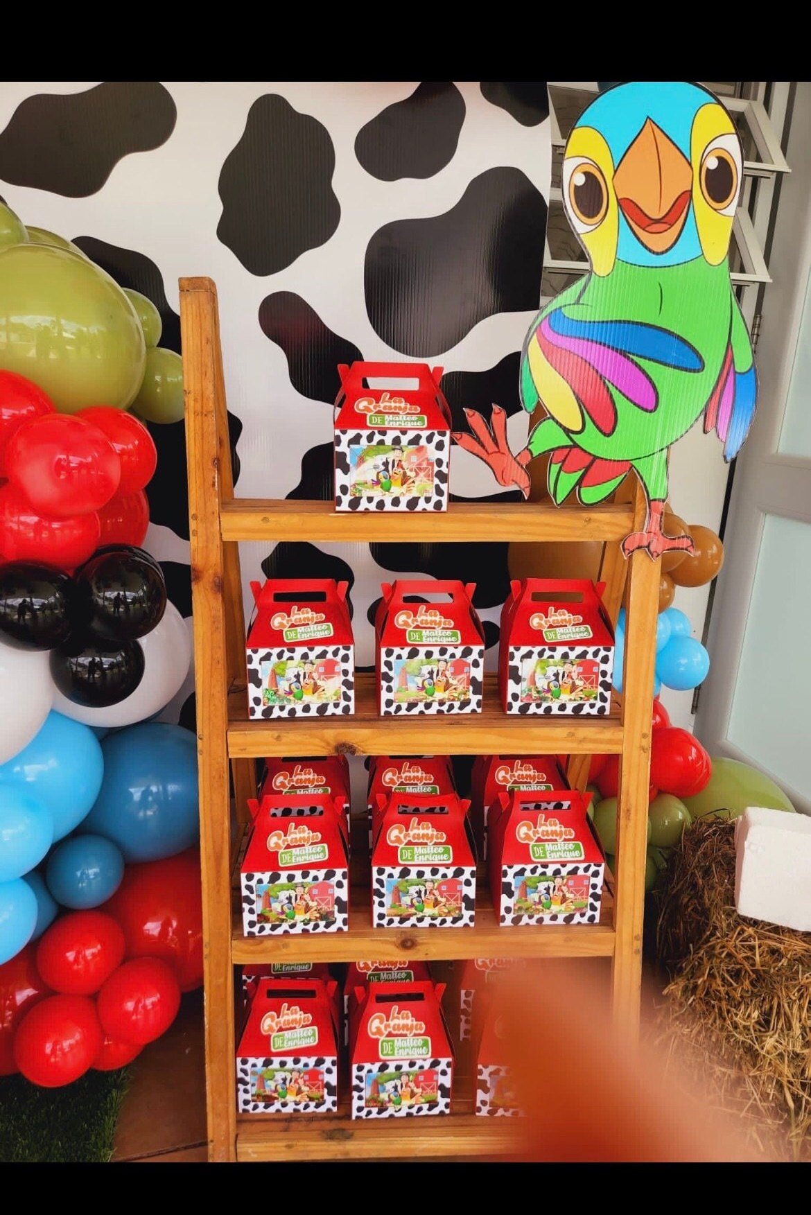 La Granja De Zenon La Granja De Zenon Party Box La Granja De - Etsy Canada