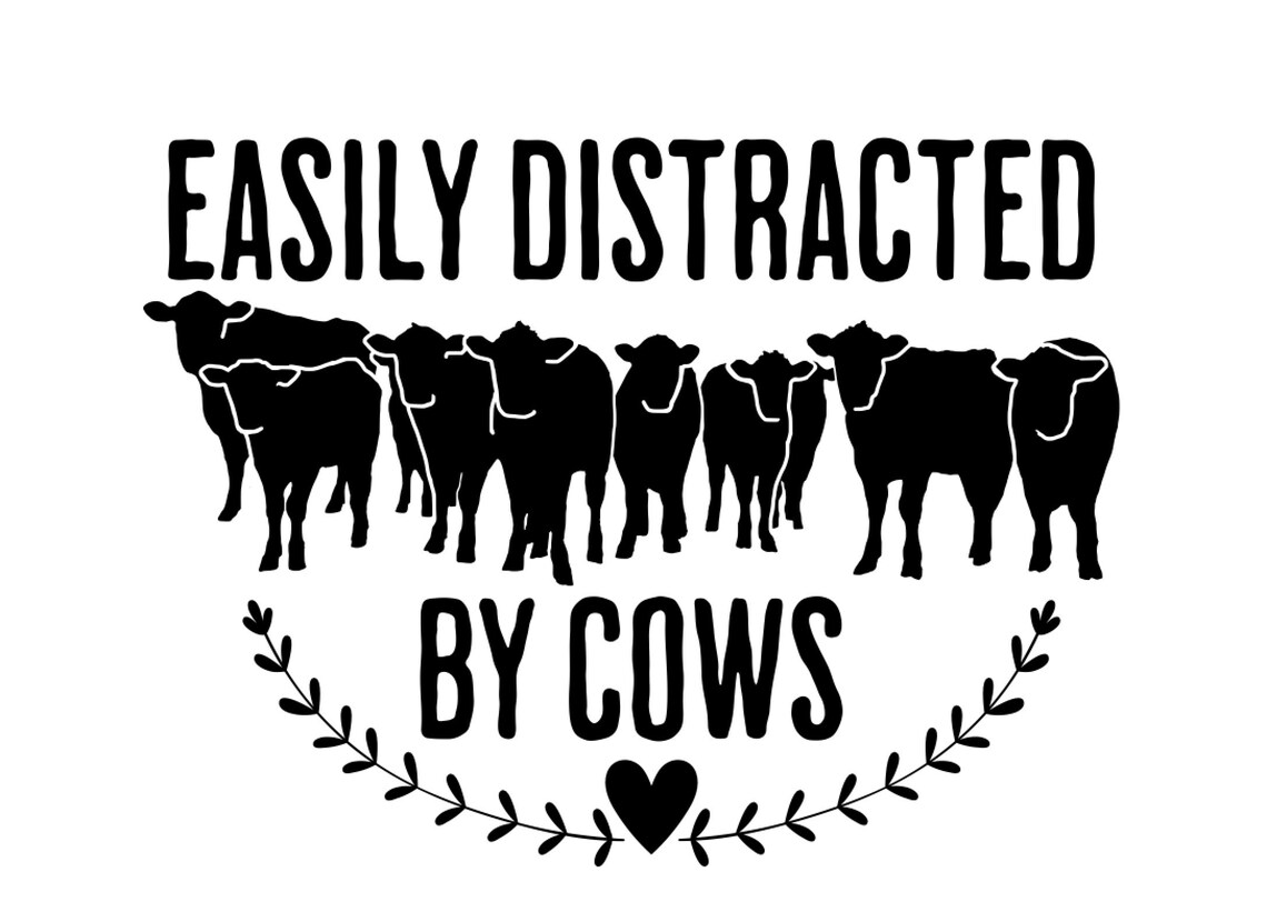 Easily Distracted by Cows Svg, Black Angus Cows Svg Digital Download ... Easily Distracted by Cows Svg, Black Angus Cows Svg Digital Download ...