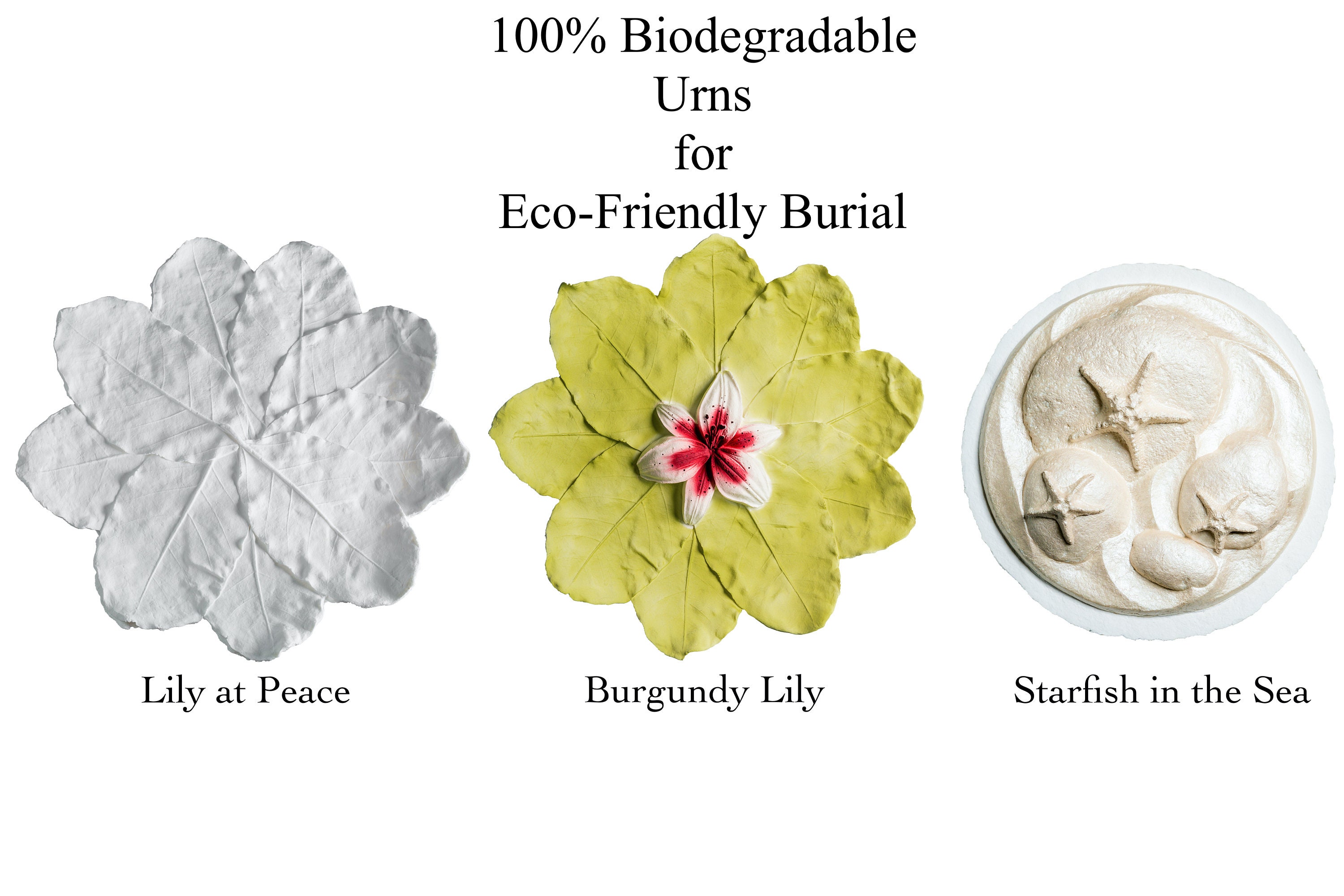 Biodegradable Urn for Human Ashes / Water Burial Urn / Urn for ...