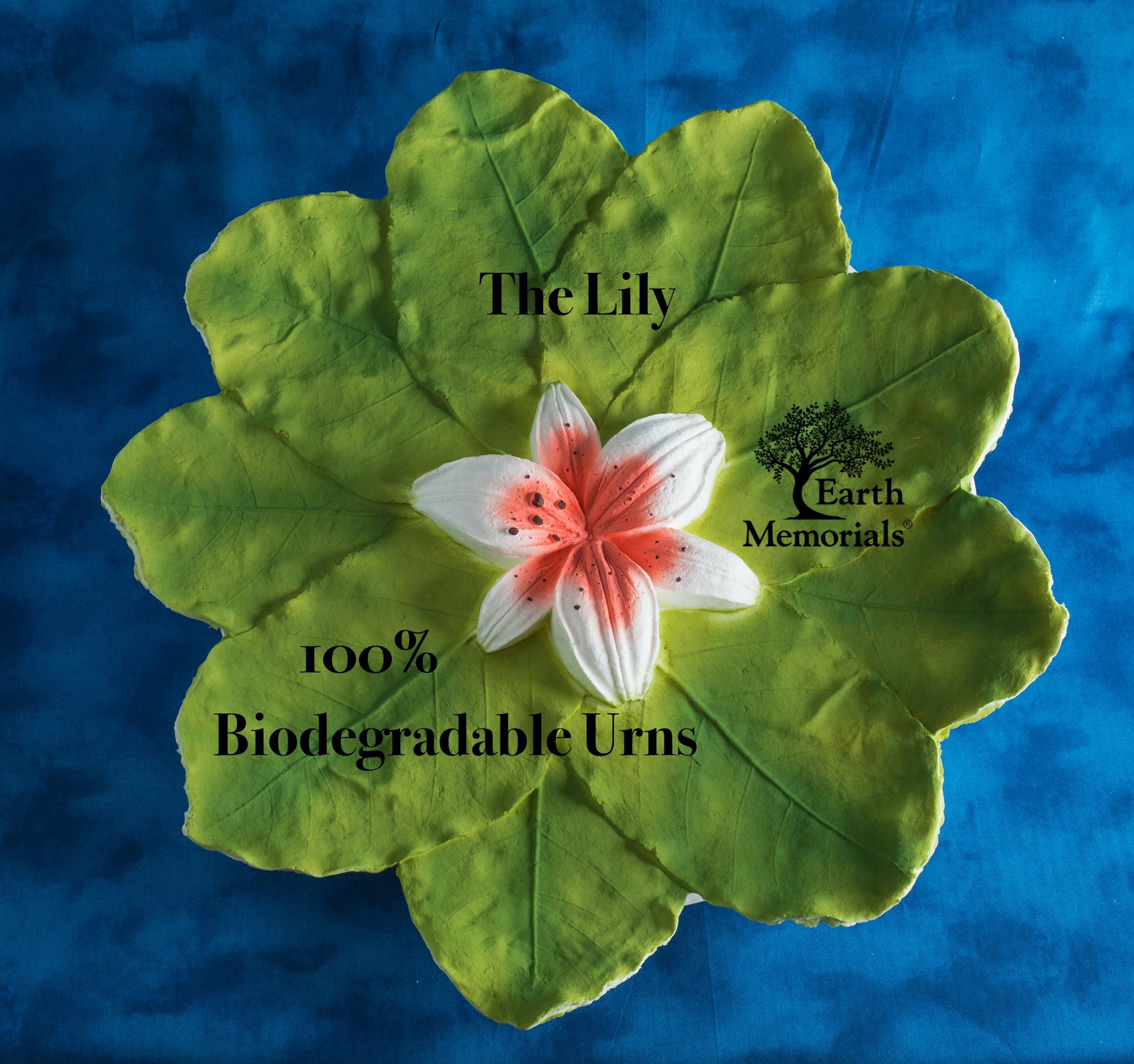 Biodegradable Urn for Human Ashes / Water Burial Urn / Urn for ...