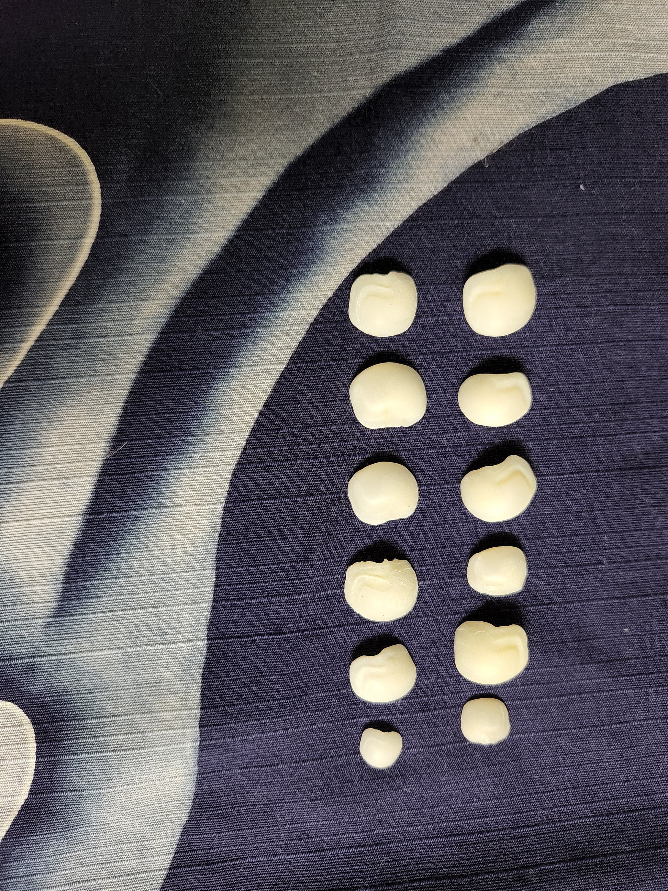 Lake Erie Lucky Stones, Natural Otolith, Good Luck Keepsake - Etsy