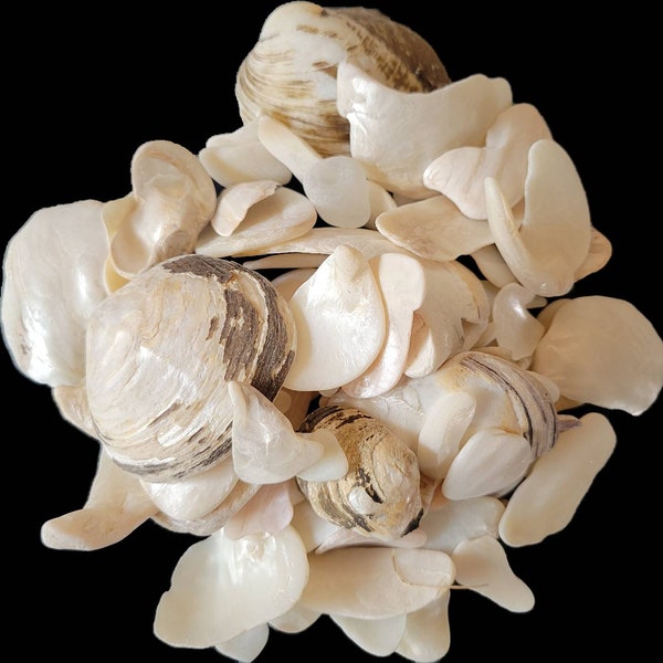 Lake Erie Stone - Etsy