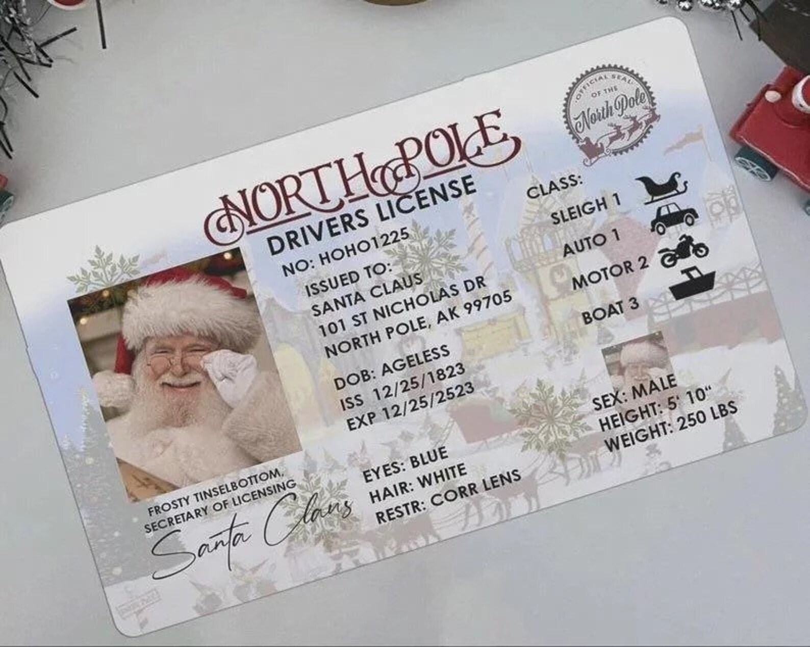 Santa Sleigh License Santa Lost Driving License Santa - Etsy