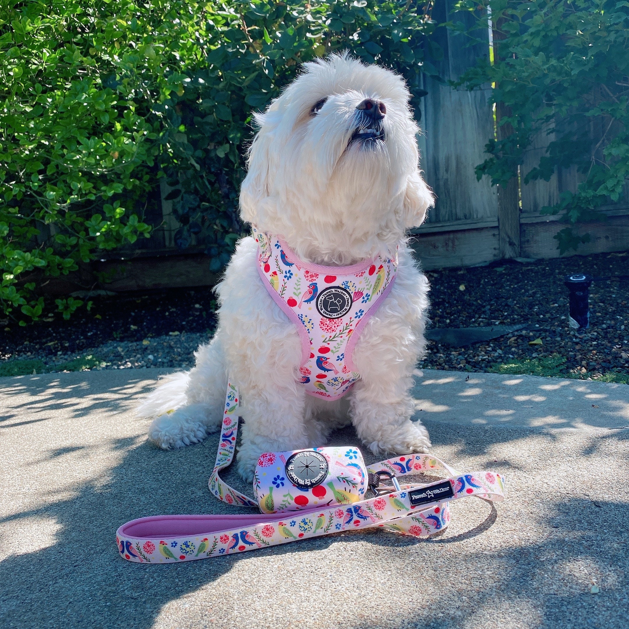 Birds of Love Dog Harness, Sweet Harness, Colorful Harness, Girl ...