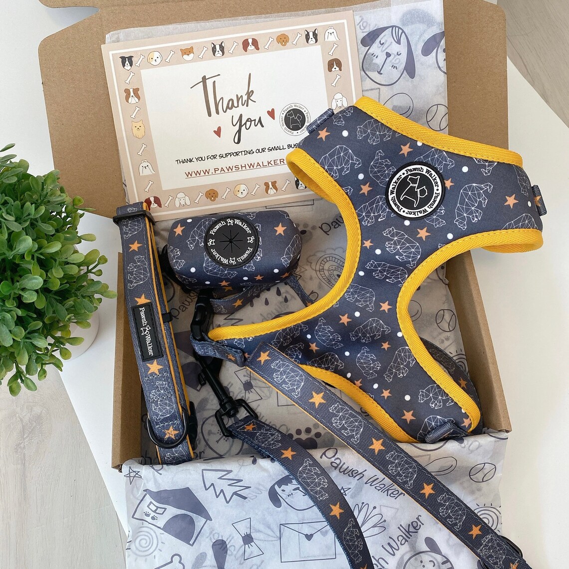 Pawsh Walker Star Gazing Dog Bundle Set Dog Harness Set Dog - Etsy