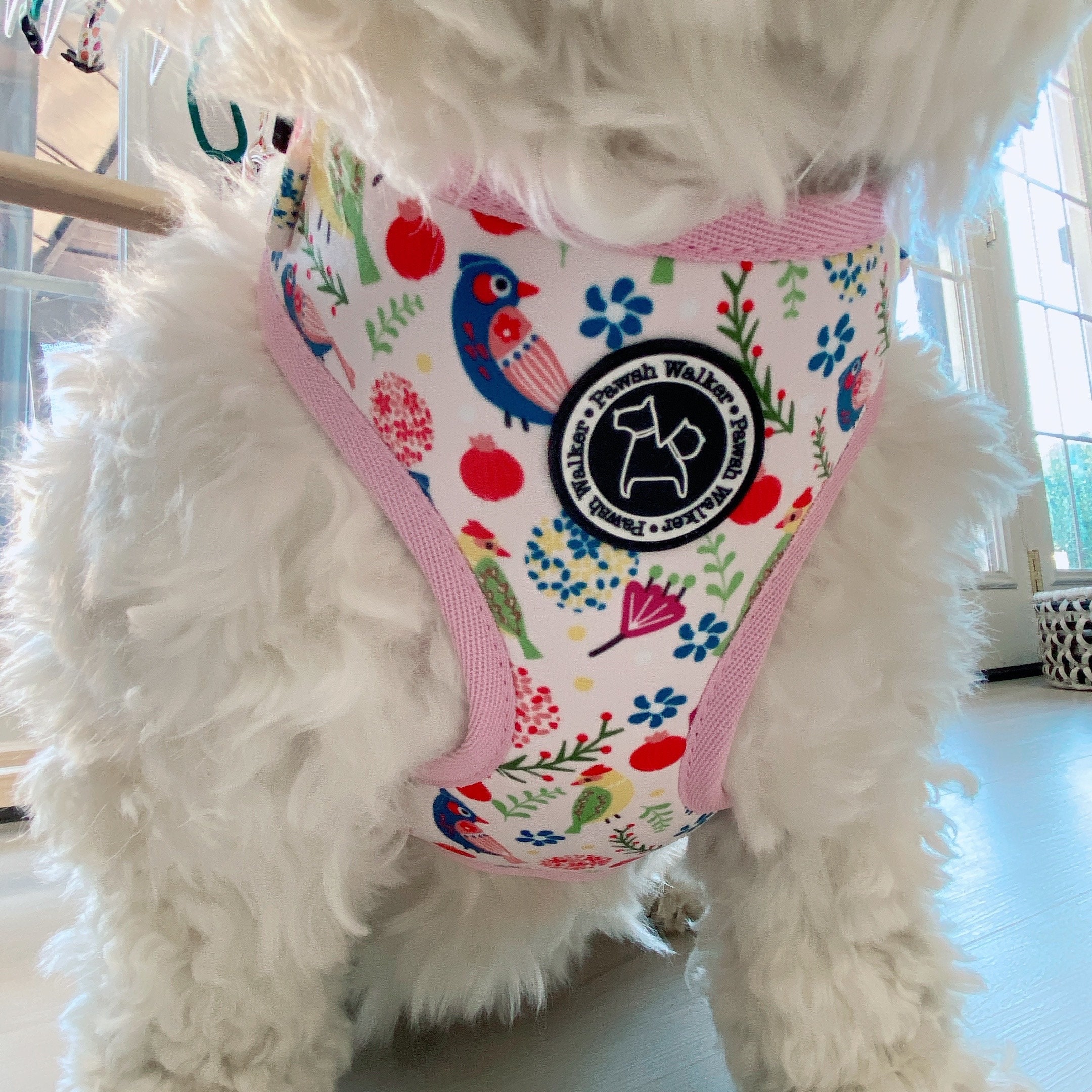 Birds of Love Dog Harness, Sweet Harness, Colorful Harness, Girl ...