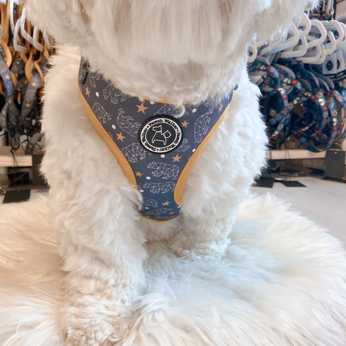 Pawsh Walker Star Gazing Dog Bundle Set Dog Harness Set Dog - Etsy