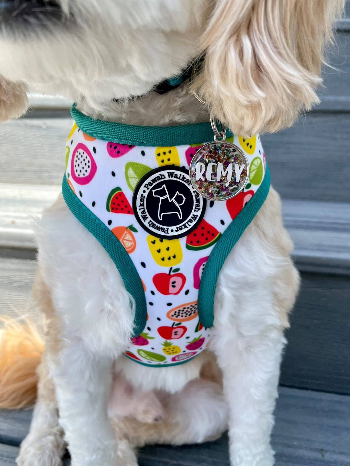 Tropical Lovd Dog Harness, Fruit Harness, Colorful Harness, Girl ...