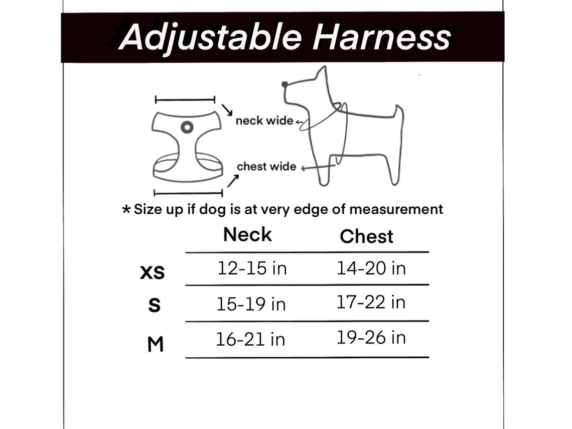 Pawsh Walker Star Gazing Dog Bundle Set Dog Harness Set Dog - Etsy