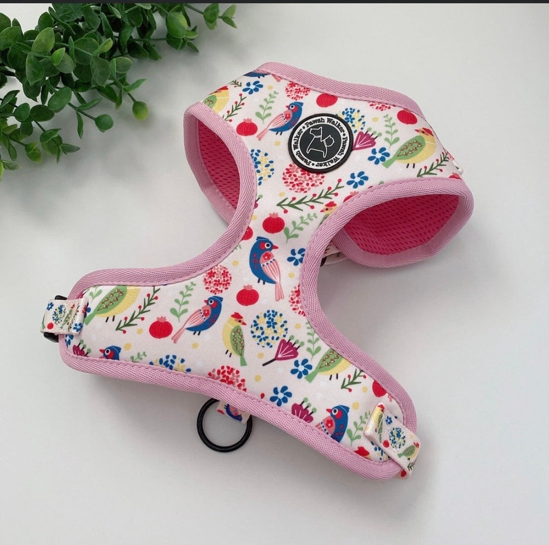 Birds of Love Dog Harness, Sweet Harness, Colorful Harness, Girl ...