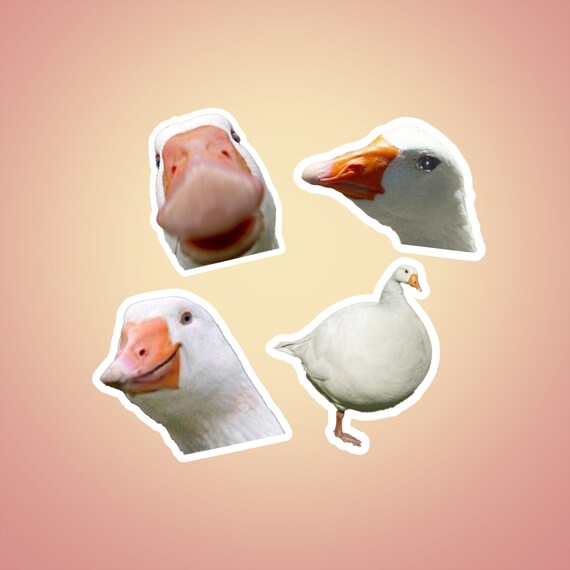 Goose Meme Sticker Pack Pack of 4 Waterproof Funny Goose - Etsy