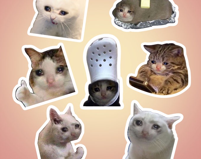 Crying Cat Sticker Pack, Pack of 7 Meme Crying Cat Stickers, for Cat ...