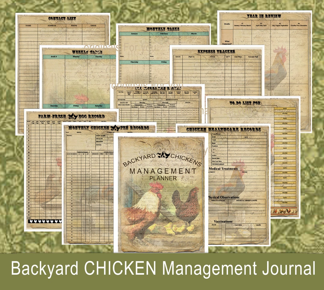 Backyard Chickens Management Junk Journal, Chicken Farm Digital Journal ...