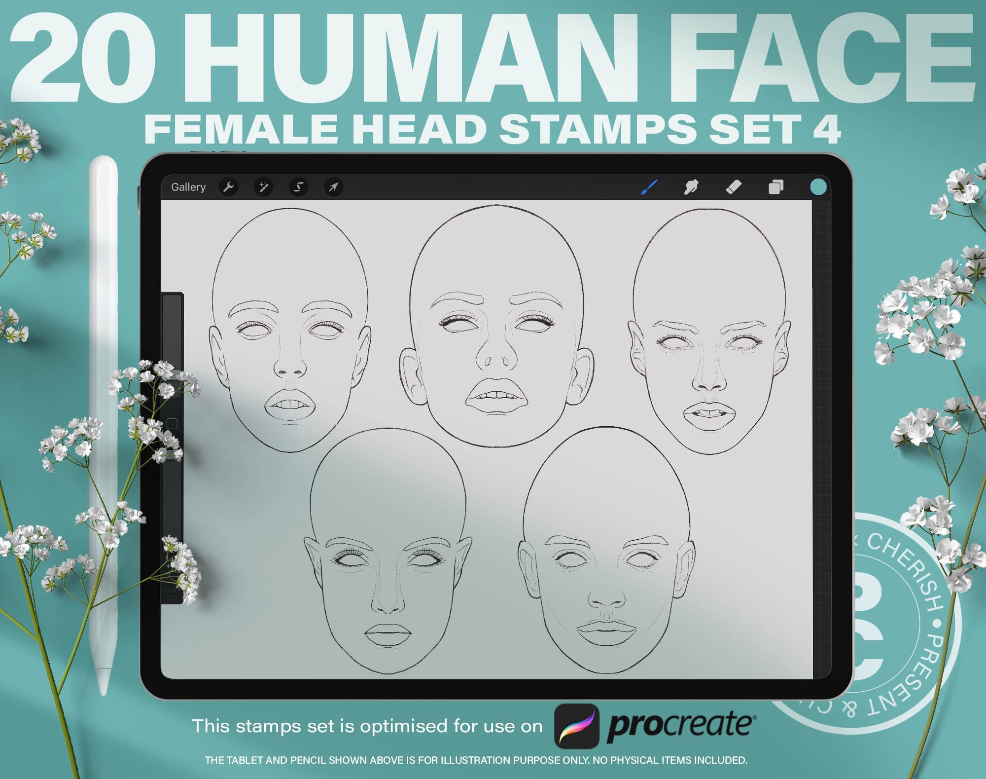 20 Procreate Woman Face Templates Brushes. Female Face Charts Stamps ...