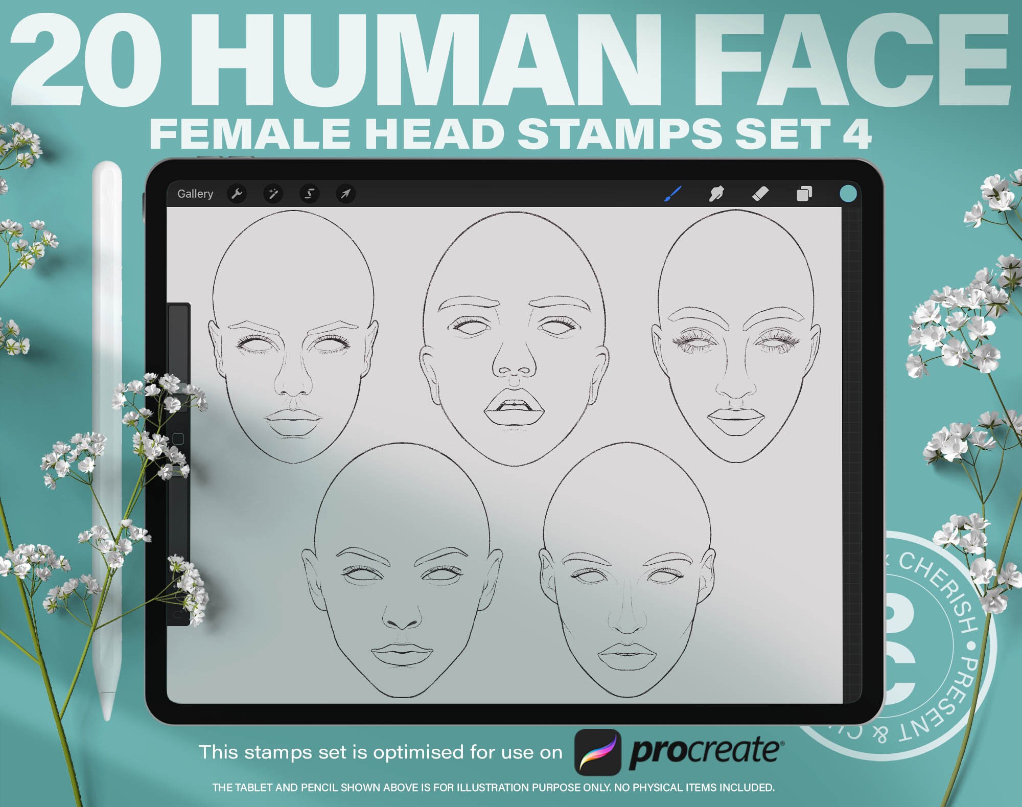 20 Procreate Woman Face Templates Brushes. Female Face Charts Stamps ...