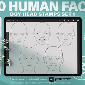 20 Procreate Boy Face Templates Brushes. Bald Head Young Boy Blank Face ...