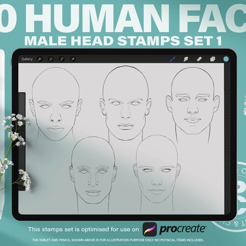 20 Procreate Man Face Templates Brushes. Bald Head Male Blank - Etsy