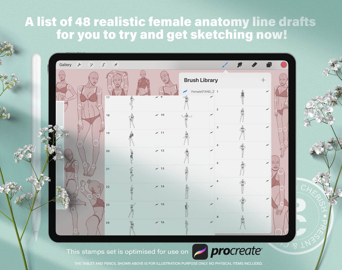 48 Procreate Anime Female Body Poses Dynamic Action Line - Etsy