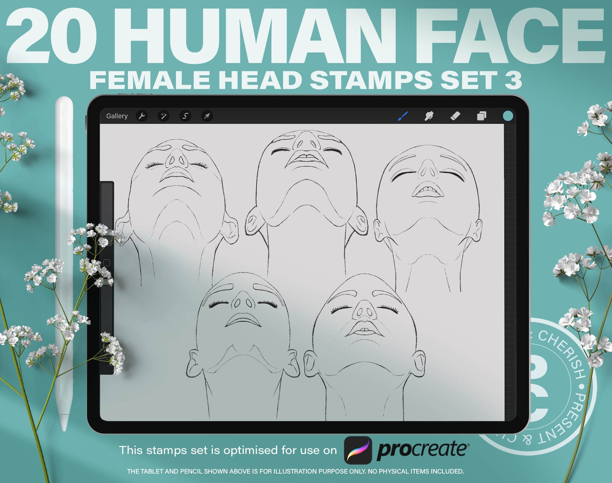 Female Base Profile
