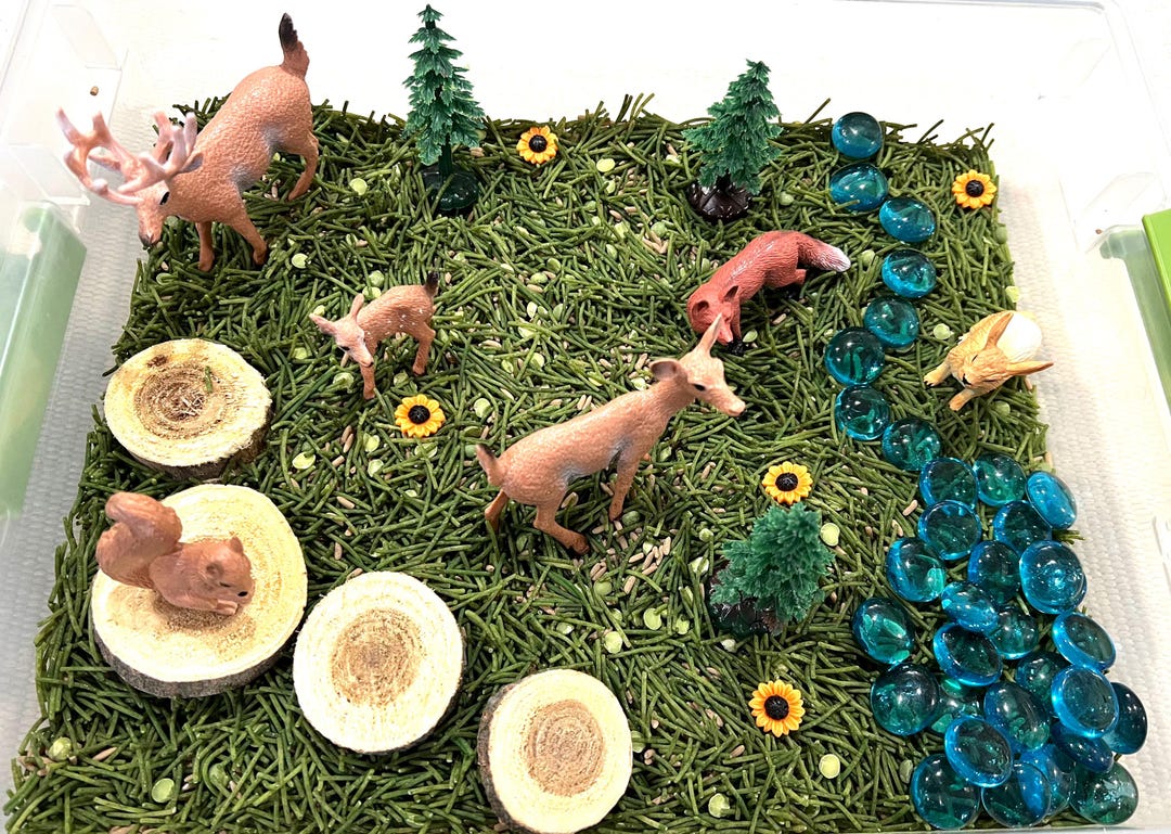 Forest Sensory Bin // Forest Small Parts Play // Forest Animals Sensory ...