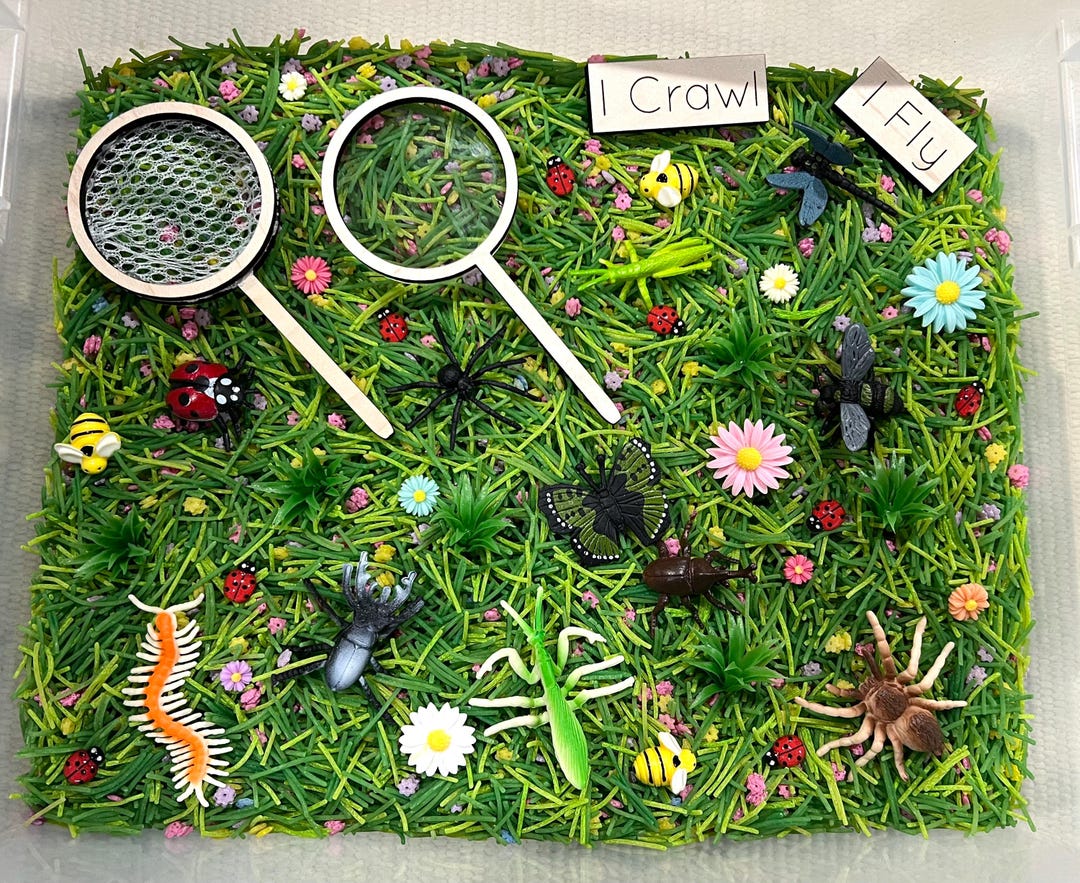 Bug Sensory Bin // Bug Small Parts Play // Backyard Bugs Sensory Bin //interactive Play Kit for ...