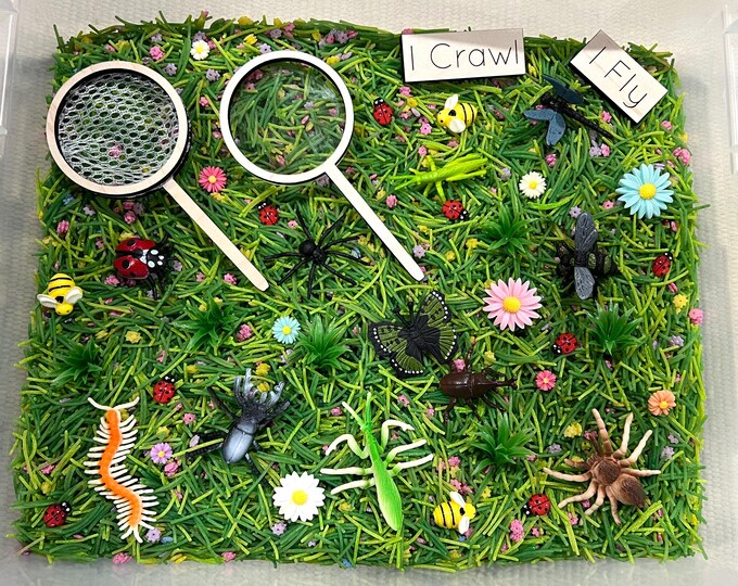 Bug Sensory Bin // Bug Small Parts Play // Backyard Bugs Sensory Bin ...