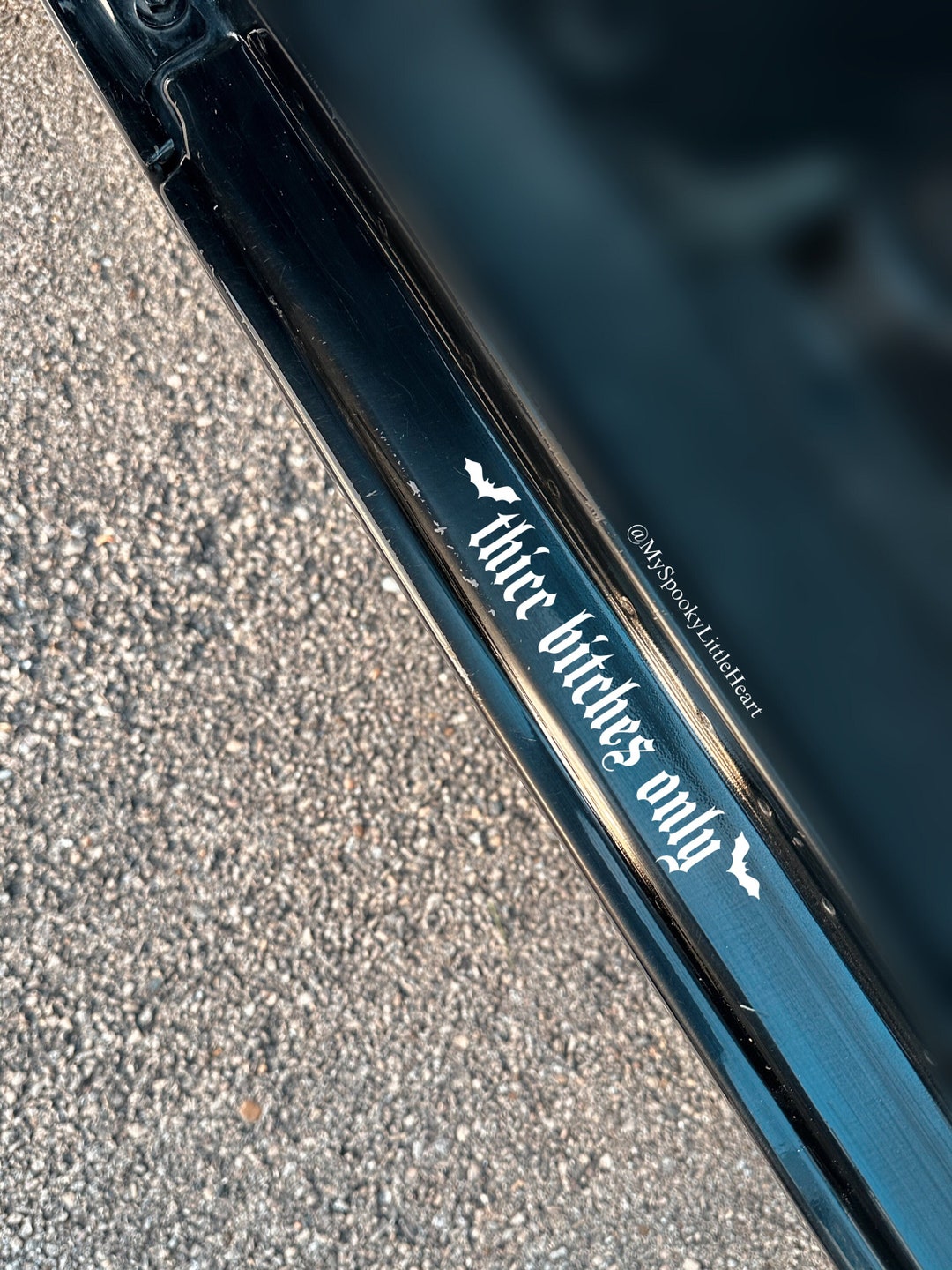 Thicc Bitches Only, Get in Loser, Passenger Decal, Door Decal, Car ...