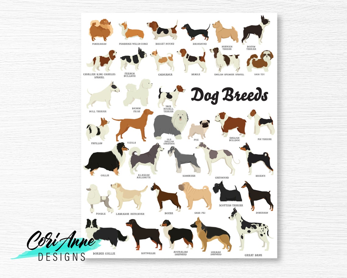 Printable Dog Breed Chart - Printable Word Searches Printable Dog Breed Chart - Printable Word Searches