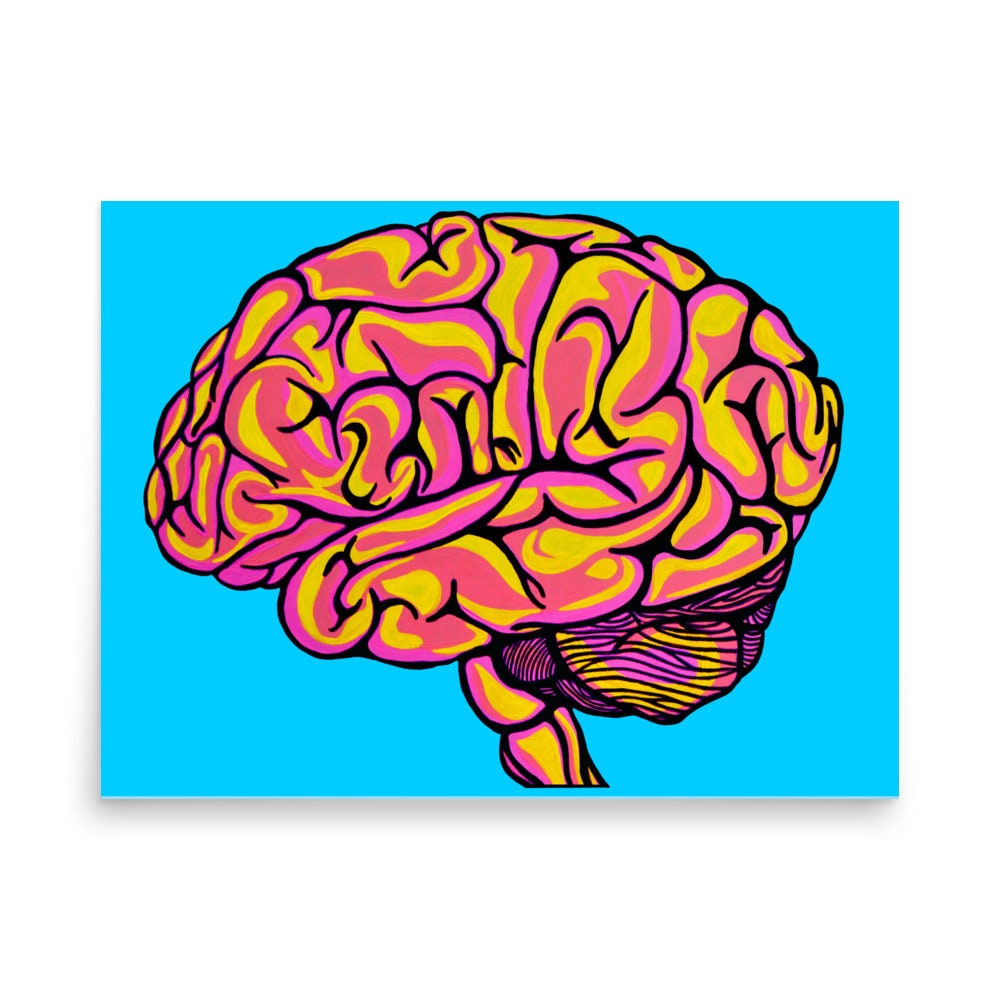 Brain, Lateral View Acrylic Art Print - Etsy