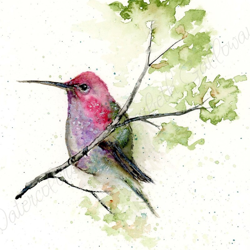 Hummingbird Water Color - Etsy