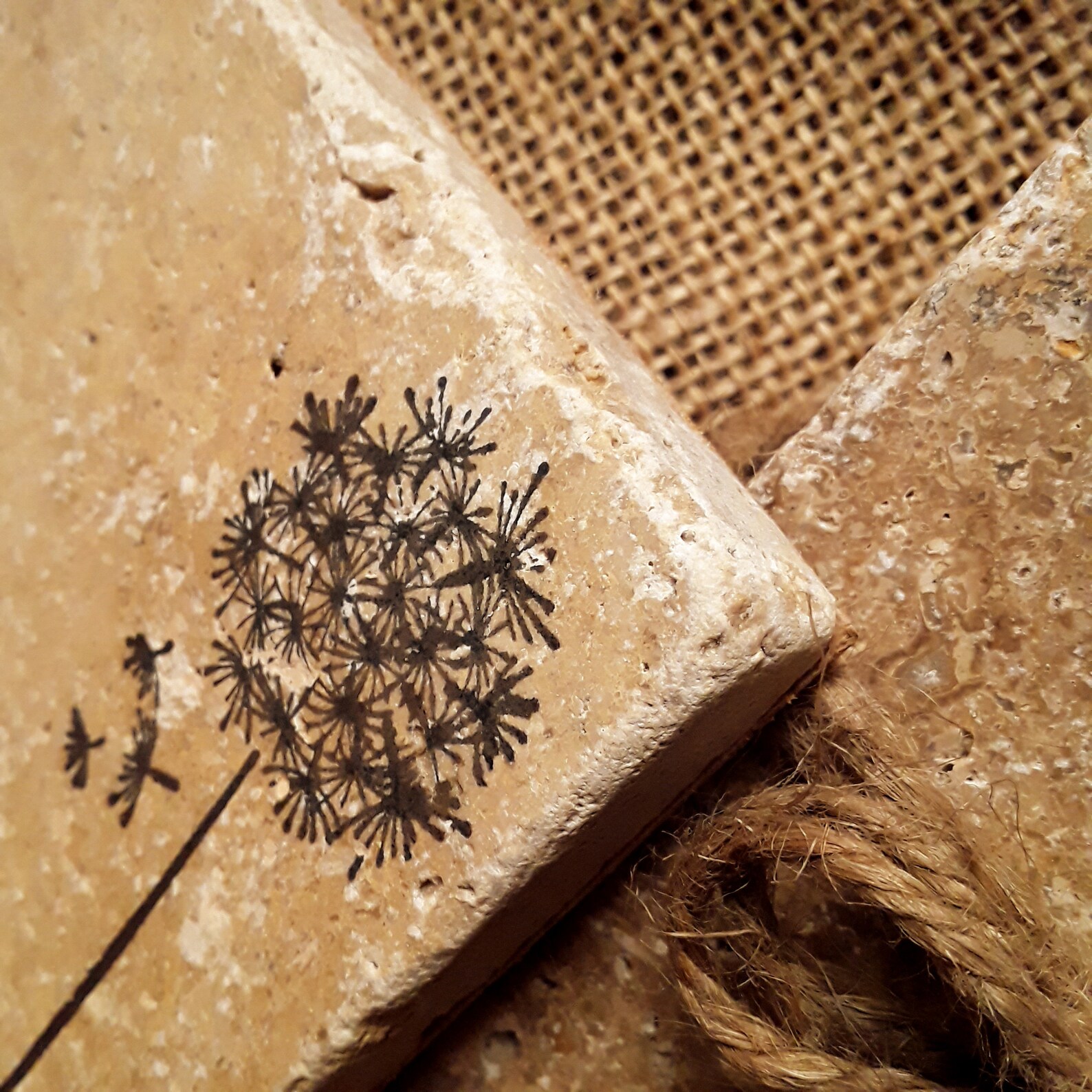 Rustic Dandelion Coasters Travertine Stone Coasters Coaster - Etsy