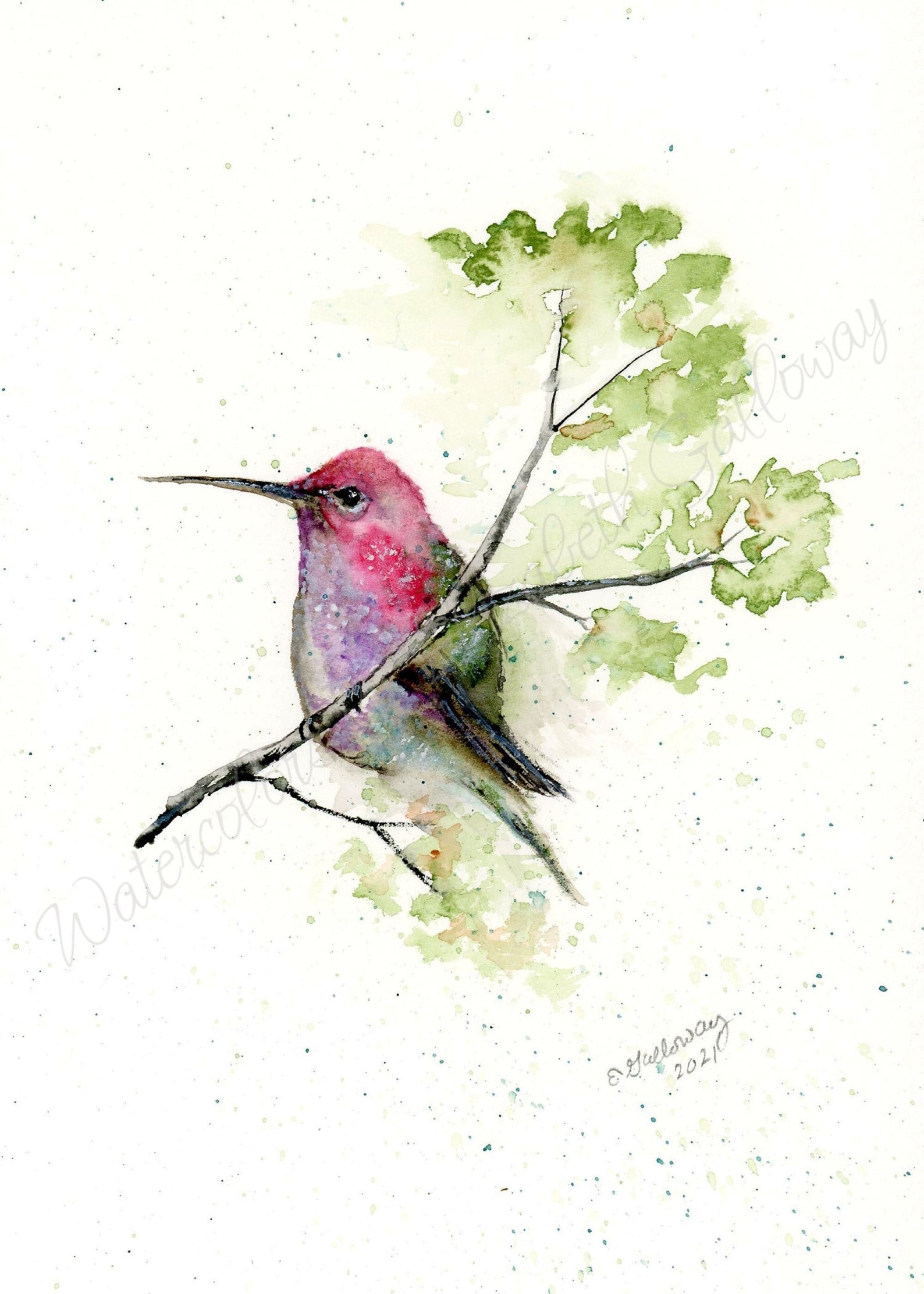 Hummingbird Watercolor Painting Hummingbird Watercolor Print - Etsy
