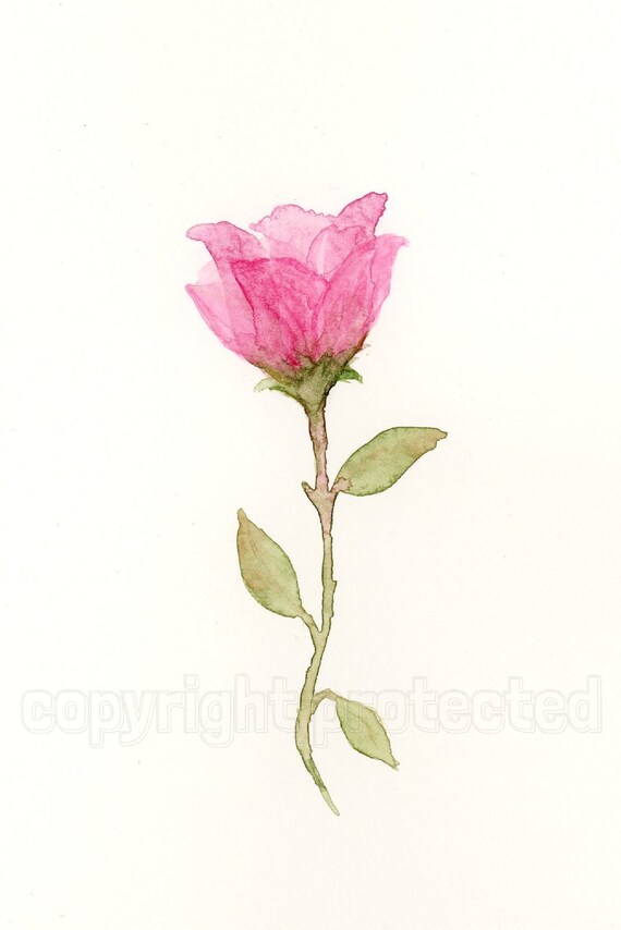 Rose Watercolor Painting Original Watercolor Giclée Print by | Etsy