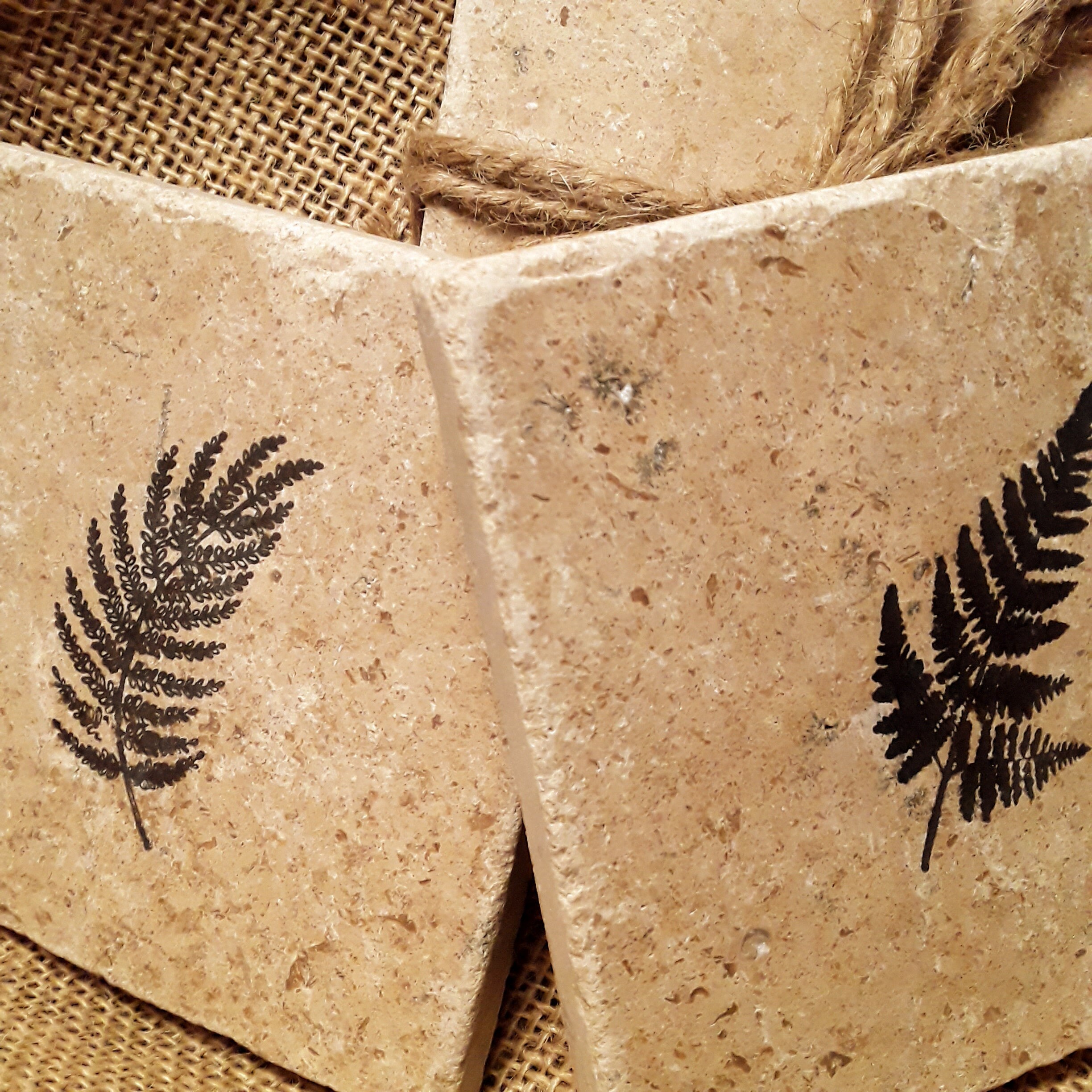Drink & Barware Coasters Home & Living Fern Coasters etna.com.pe
