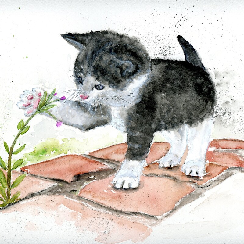 Cat Garden Art Print Card - Etsy