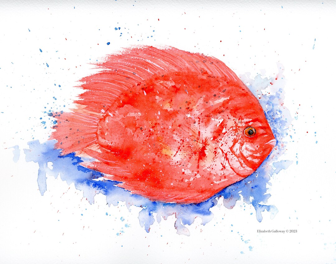 Original Discus Fish Watercolor Painting: Tropical Art (14x11) - Etsy