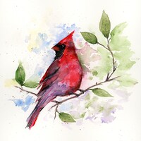 Cardinal Print - Etsy