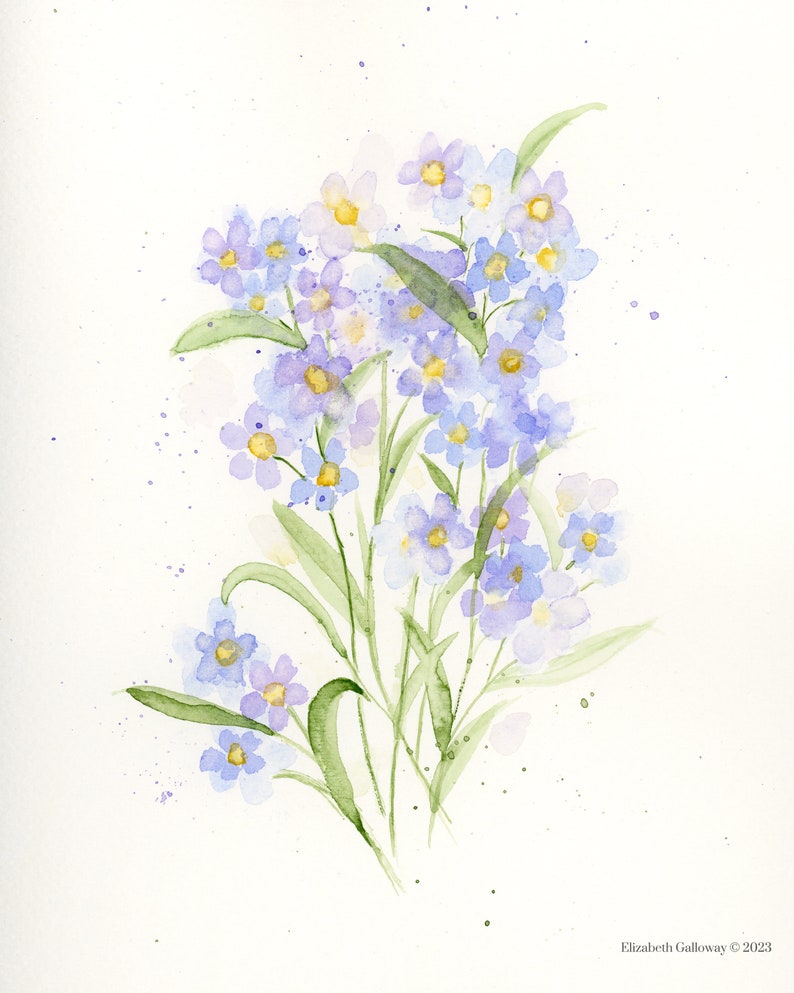Forget Me Not Blank Greeting Card Original Art Print - Etsy