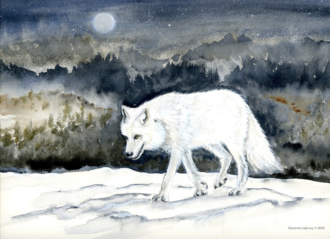 Greeting Card Original Art Print - White Wolf Watercolor, Landscape - Etsy