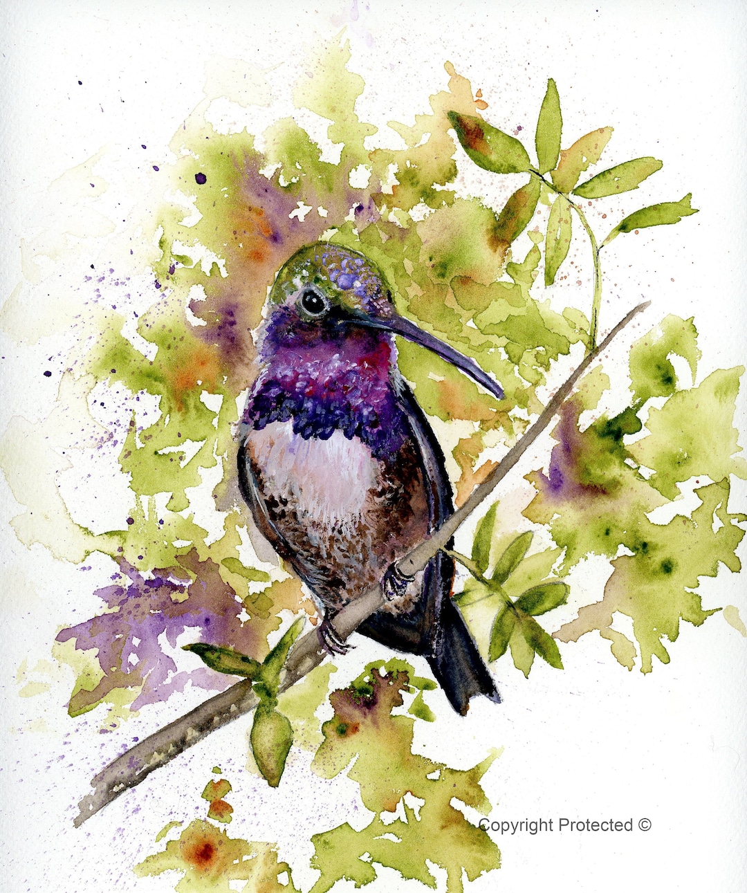 Hummingbird Watercolor Painting, Hummingbird Watercolor Print ...