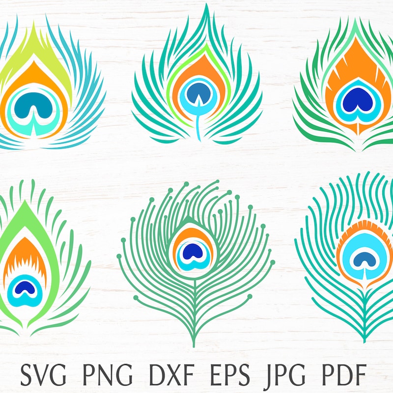 Peacock Feather Svg - Etsy