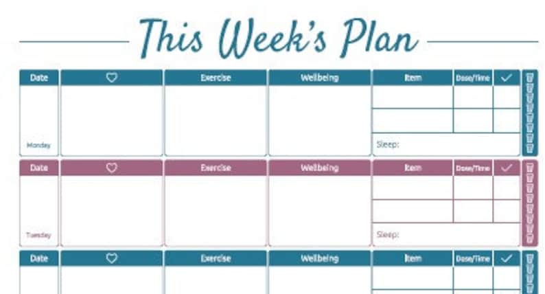 Free printable meal and exercise planner - spectrummens