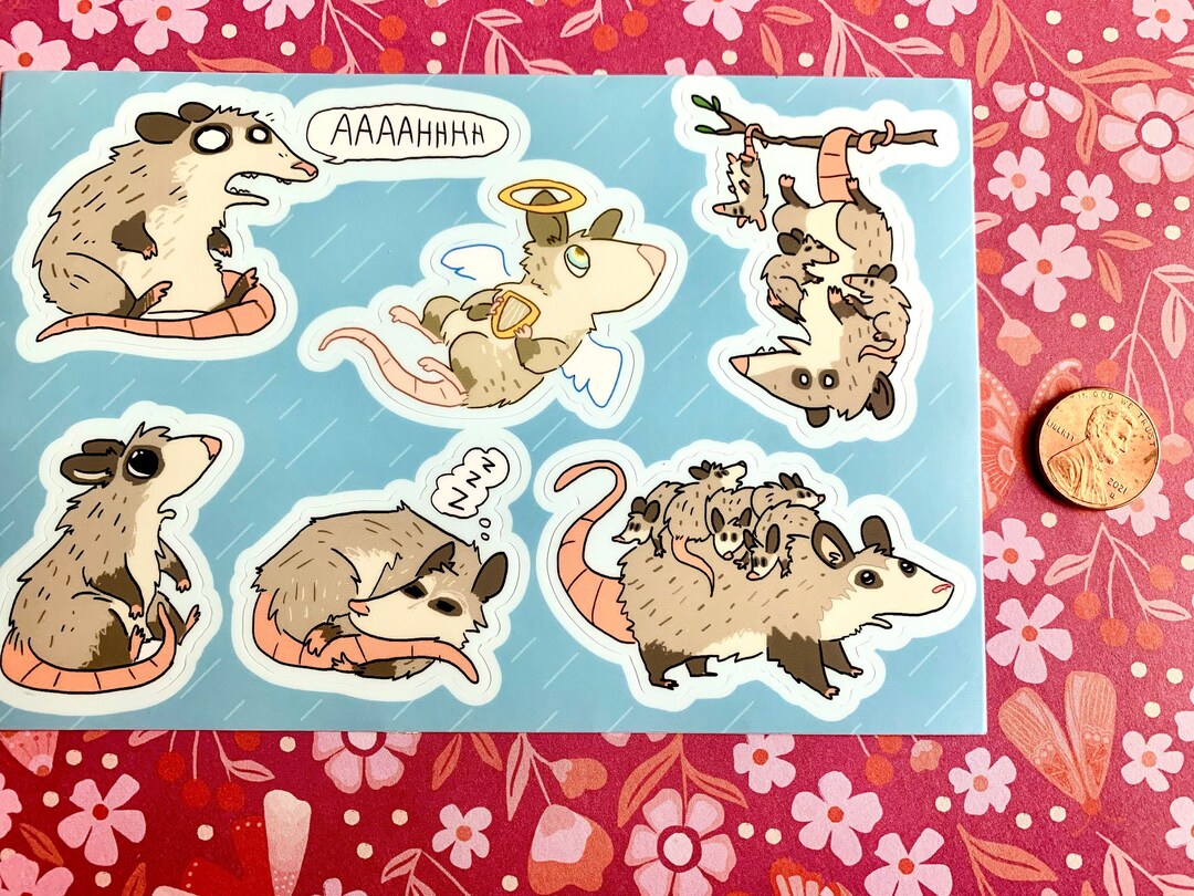 Opossum Sticker Sheet - Etsy