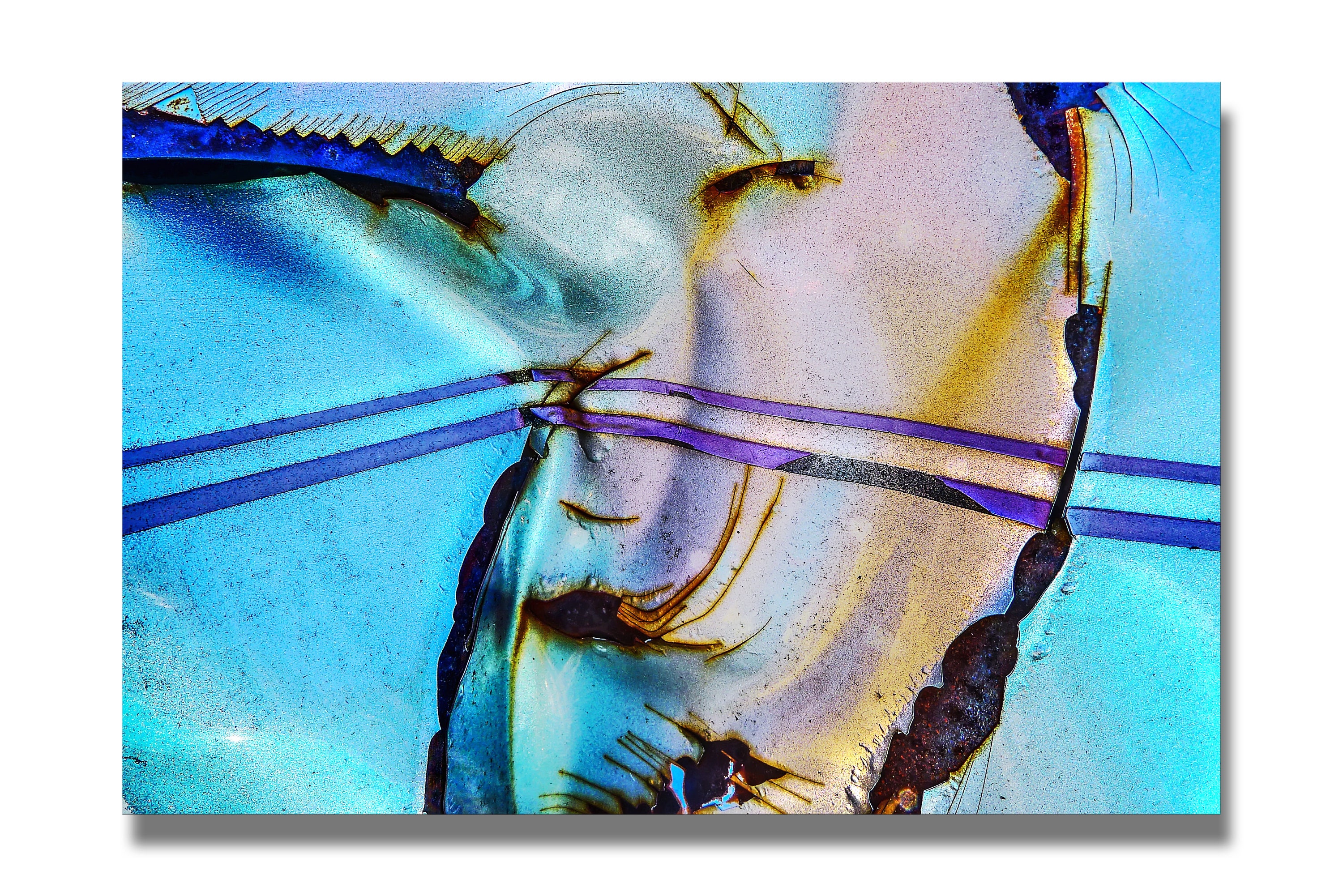 Elated // Mike Cable // Abstract Photography Wall Art, Large ...