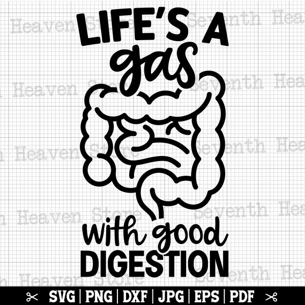 Digestive System Svg - Etsy